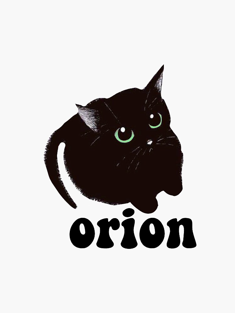 "Orion the black cat" Sticker for Sale by addisstickers | Redbubble