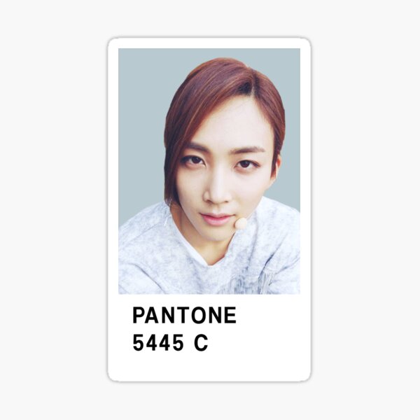 "SEVENTEEN PANTONE Jeonghan" Sticker for Sale by vernonvibes | Redbubble