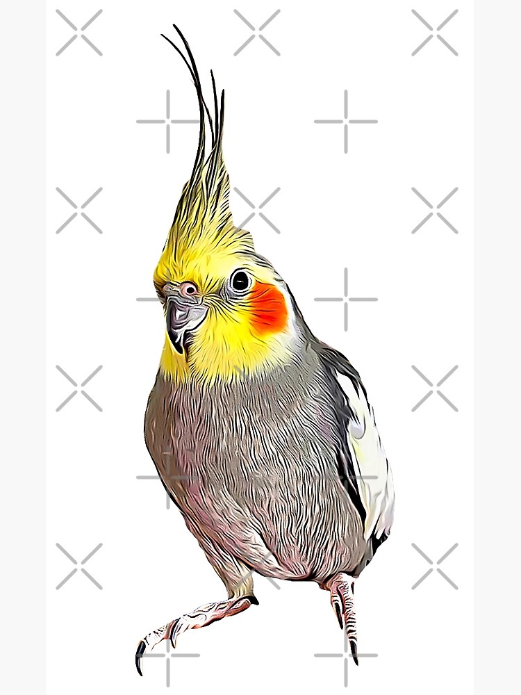 Paper Cockatiels card cute birb card birthday card animals cockatiel ...