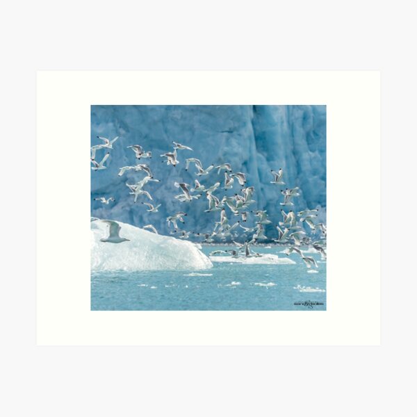 Svalbard Merch & Gifts for Sale | Redbubble