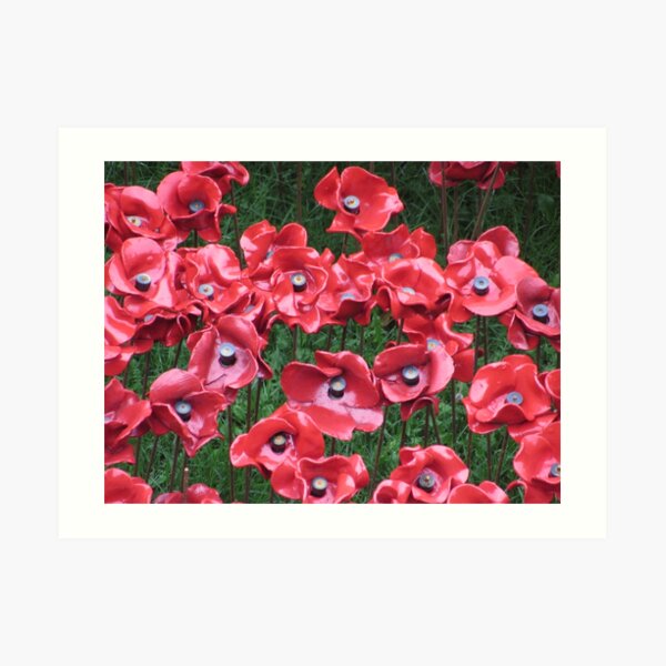 World War 1 Poppies Art Prints | Redbubble