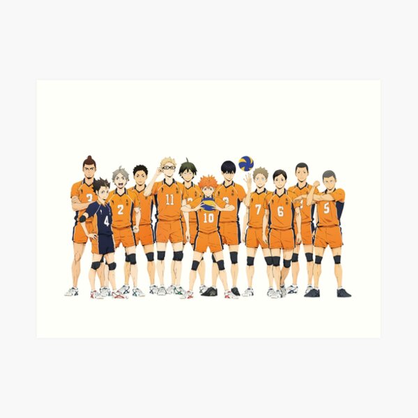 "Karasuno full team" Art Print for Sale by snailhunter66 | Redbubble