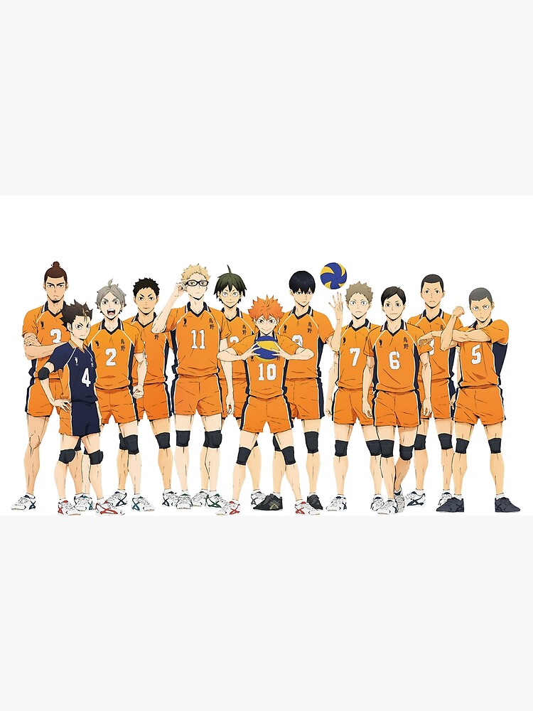 "Karasuno full team" Art Print for Sale by snailhunter66 | Redbubble