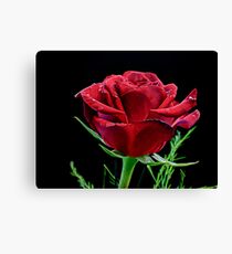 Red Rose Canvas Prints | Redbubble