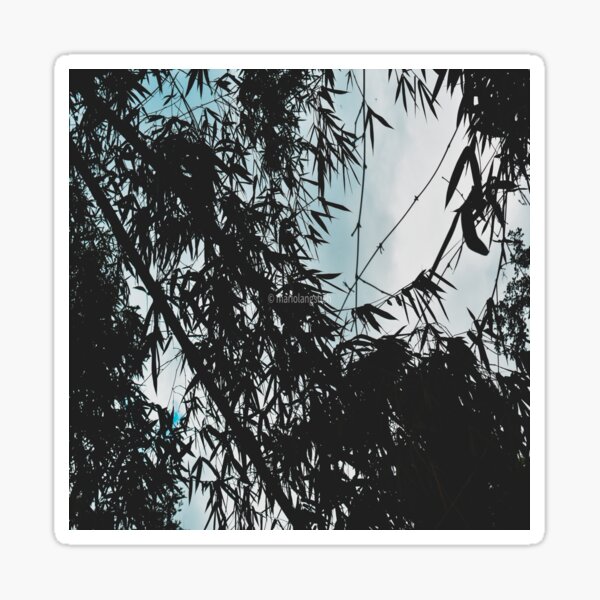 "Tropical bamboo tree" Sticker for Sale by Mariolangstieh | Redbubble