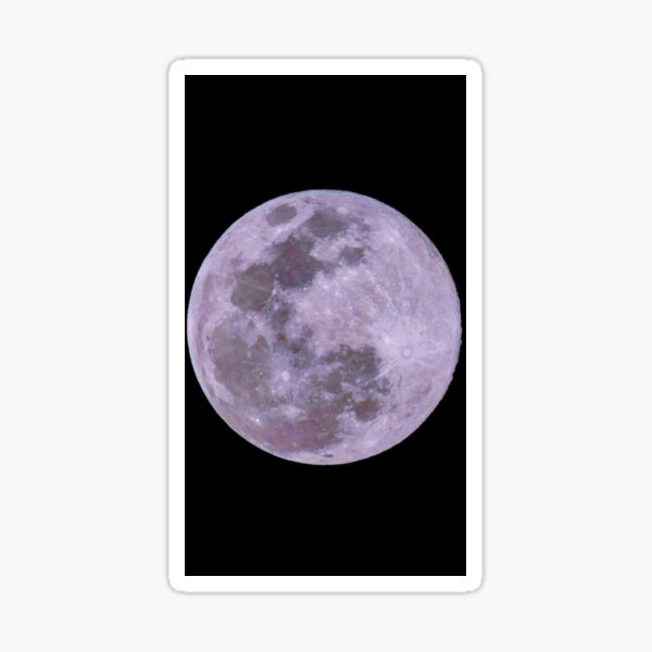 "pink moon aesthetic" Sticker by Pastramami | Redbubble