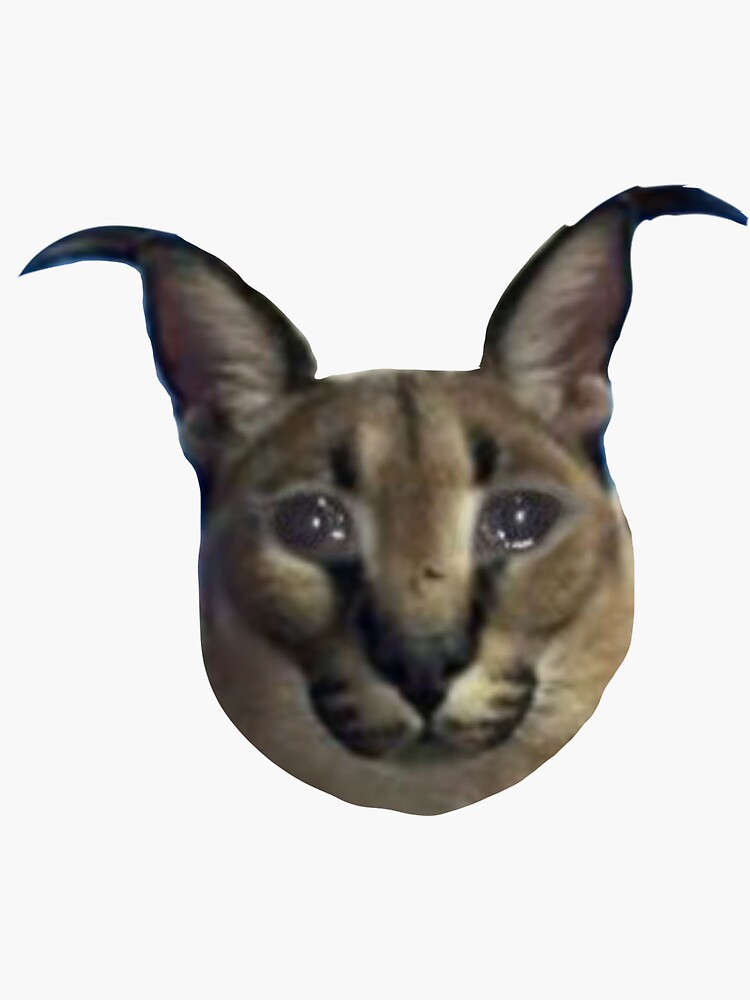 "Sad floppa" Sticker by Bugscout | Redbubble