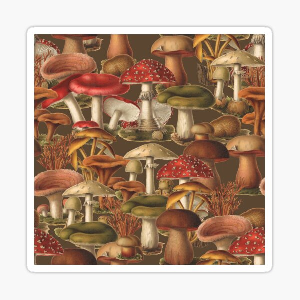"Funghi" Sticker for Sale by Salocin | Redbubble