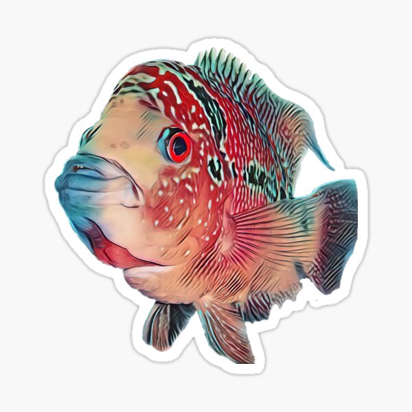 "Flowerhorn" Sticker by Praniket | Redbubble