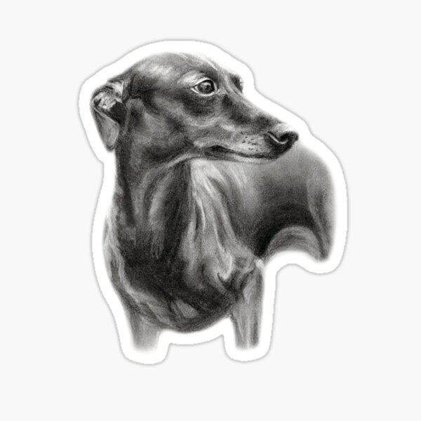 "Whippet" Sticker for Sale by Danguole Serstinskaja | Redbubble