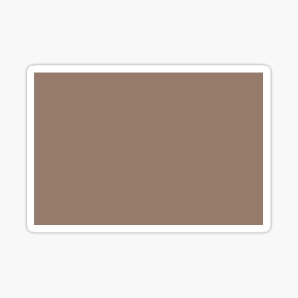 "Cocoa Powder Mid Tone Neutral Brown Solid Color Pairs To Sherwin ...