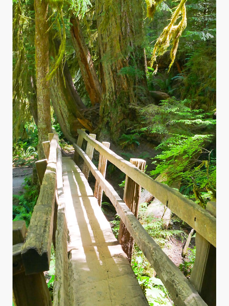 "PNW Bridge" Sticker by rmchone6 | Redbubble