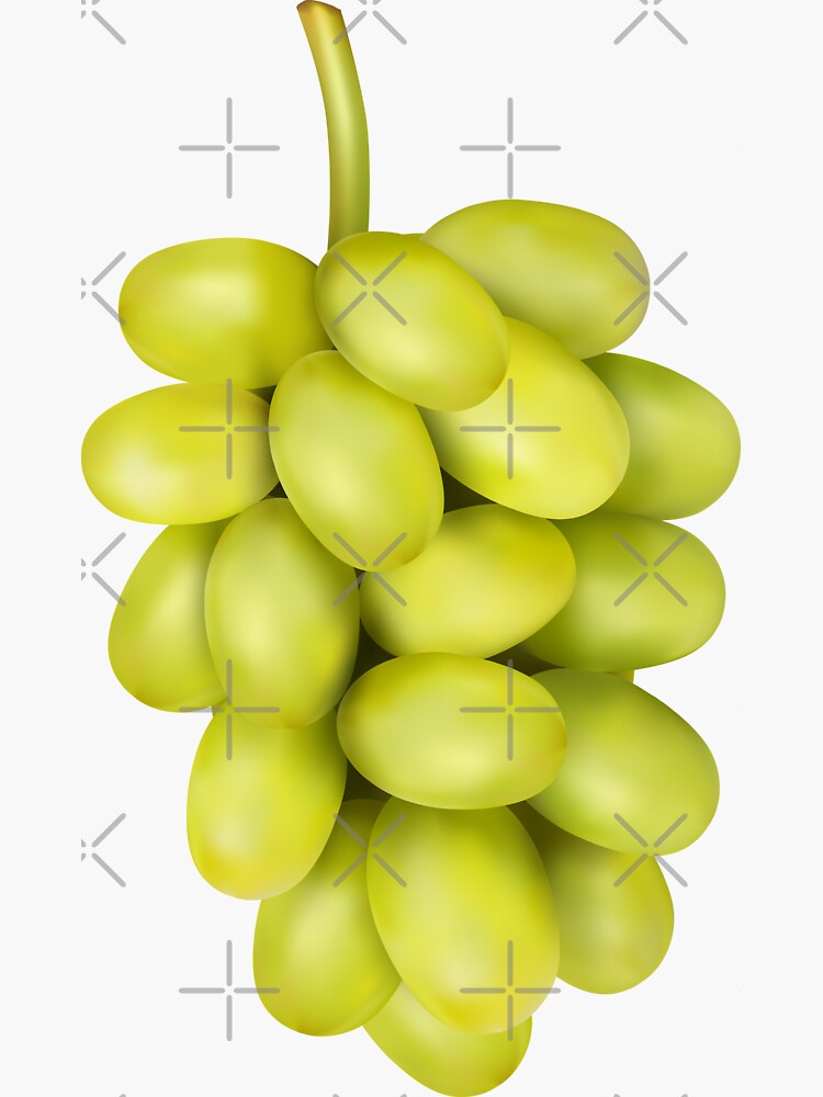 "Green Grape cluster" Sticker for Sale by Smaragdas | Redbubble