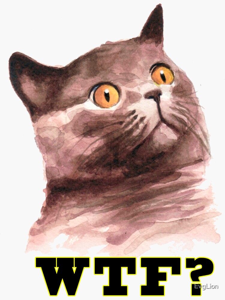 "WTF? Cat" Sticker for Sale by EvgLion | Redbubble