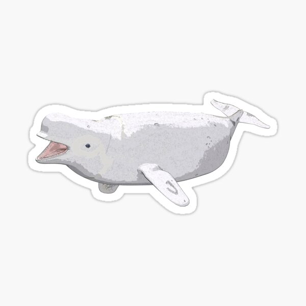 "Beluga whale, white whale, green whale," Sticker for Sale by MIRO3D ...