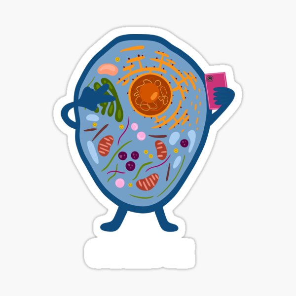 Cellfie Stickers | Redbubble