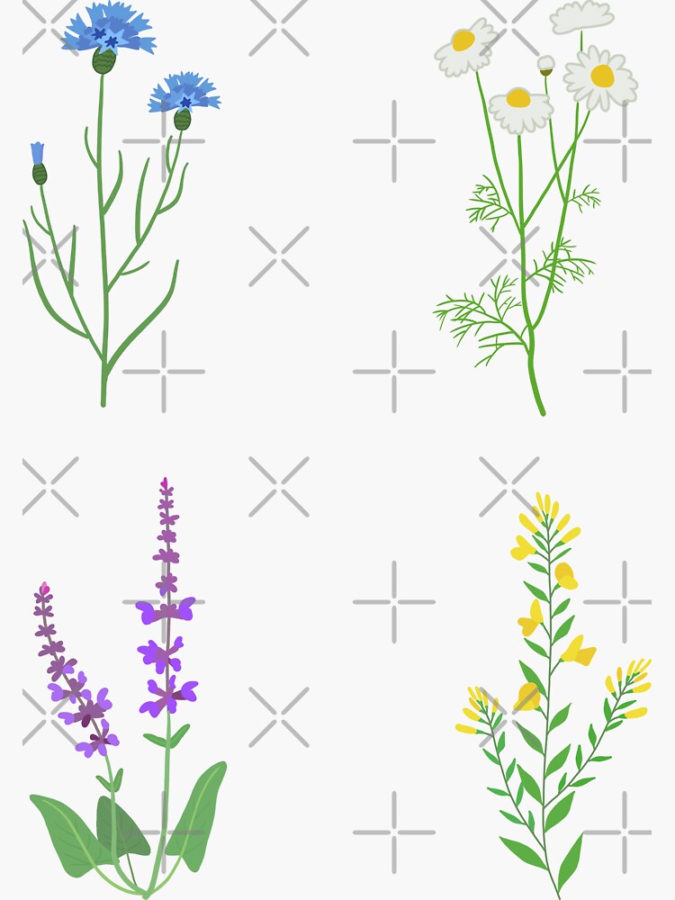 "Wildflower Pack" Sticker by jadydesigns | Redbubble