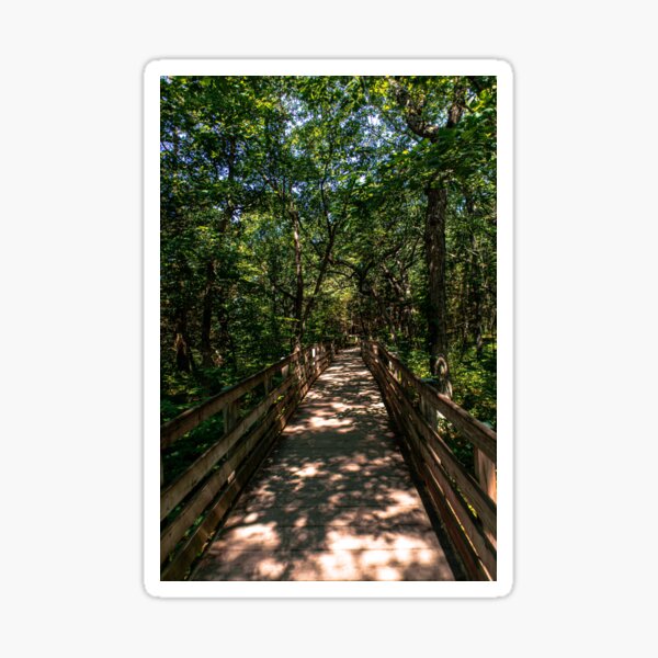 "Wooded Bridge" Sticker for Sale by josephratsch | Redbubble