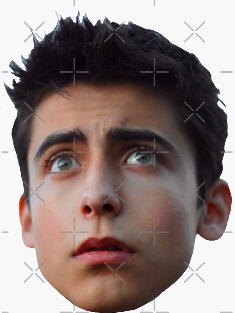 "Aidan Gallagher" Sticker for Sale by ThePearlshopbyD | Redbubble