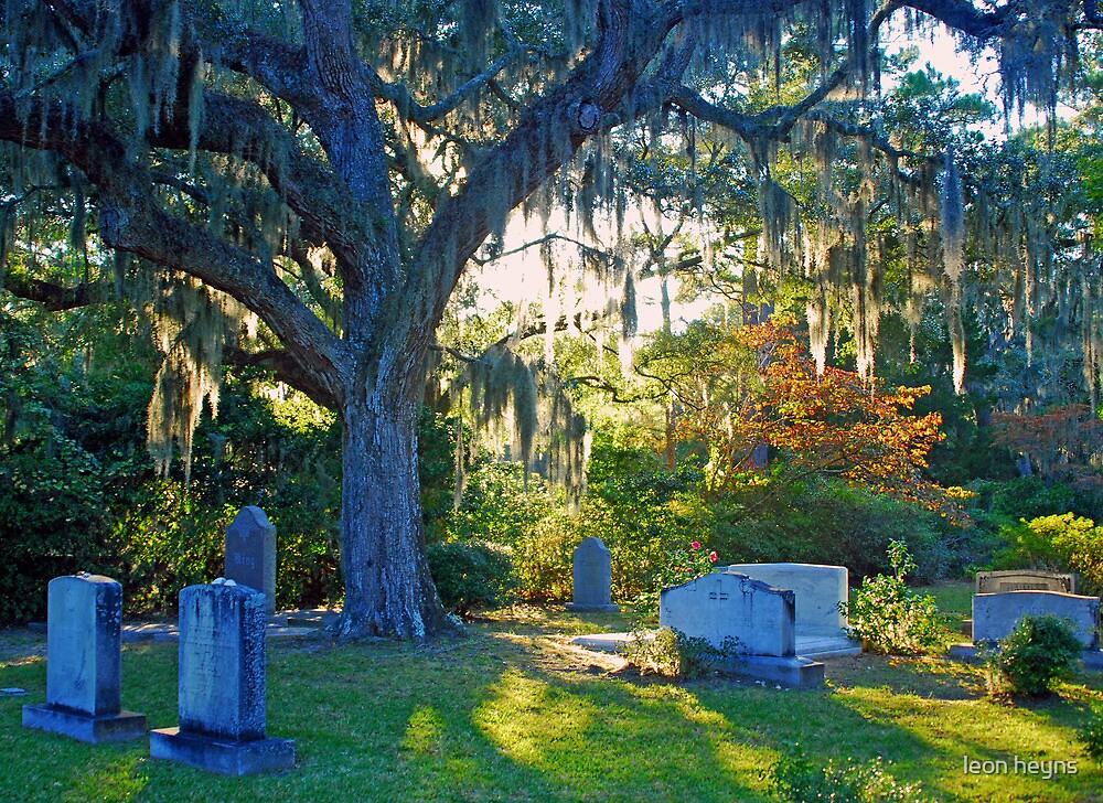 "Cemetery Moss" by Leon Heyns | Redbubble