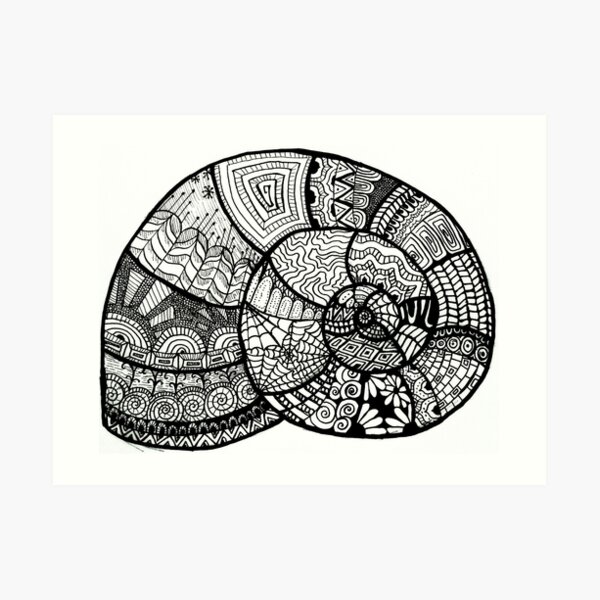 "Zentangle shell design in Black and White" Art Print by art-and-soul ...
