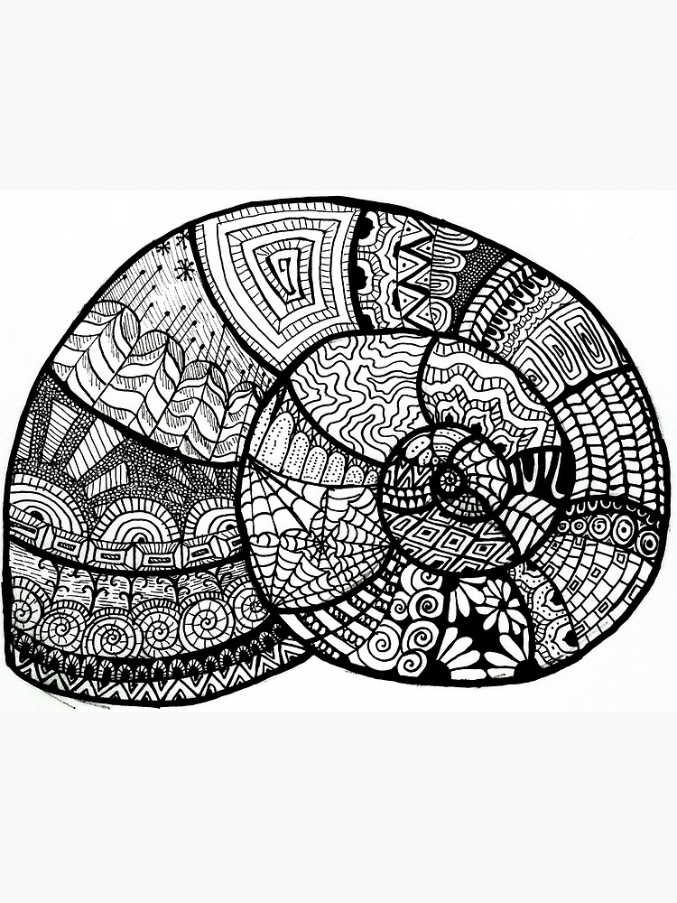 "Zentangle shell design in Black and White" Art Print by art-and-soul ...