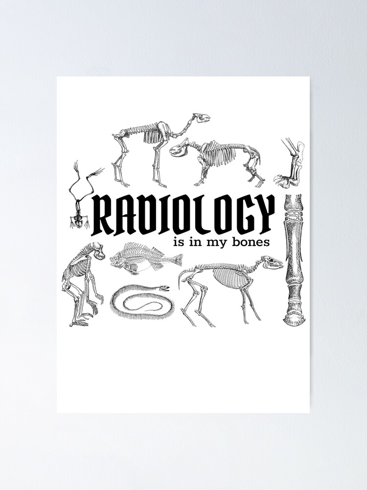 "Radiology Is In my Bones (Veterinary) " Poster for Sale by FLHeifer ...