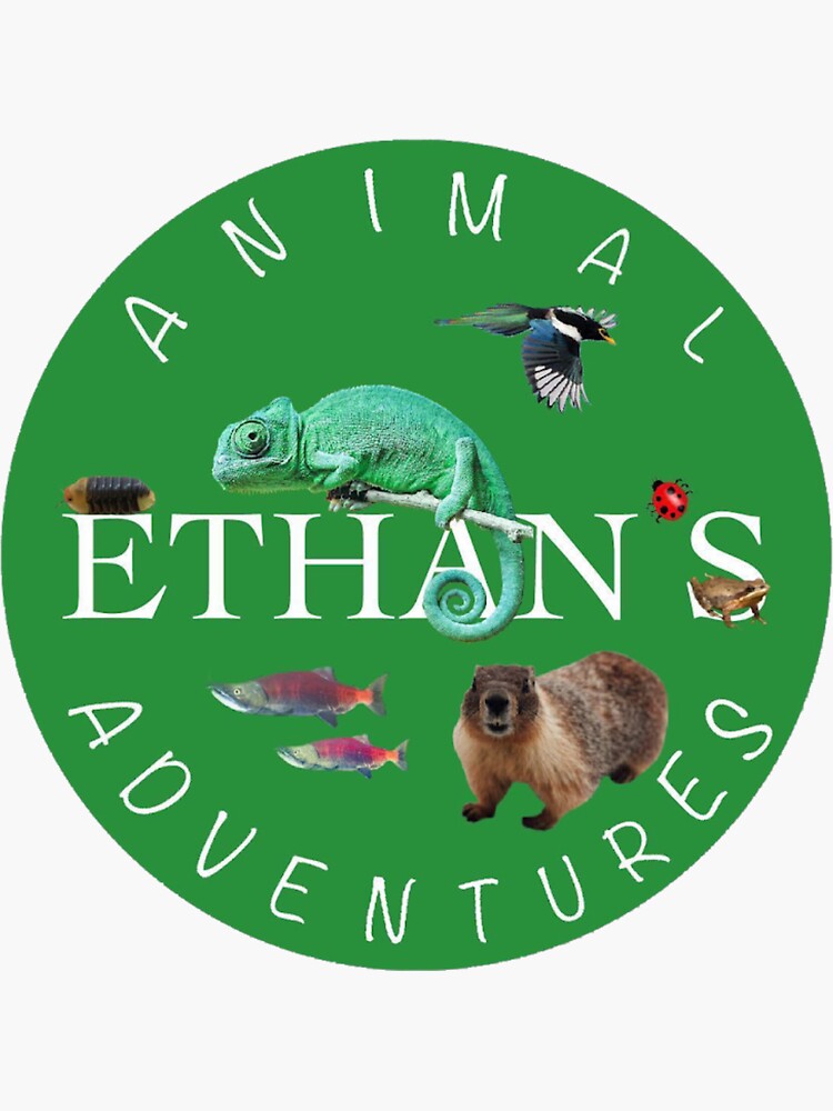"EAA main logo (basic)" Sticker for Sale by EthansAnimals | Redbubble