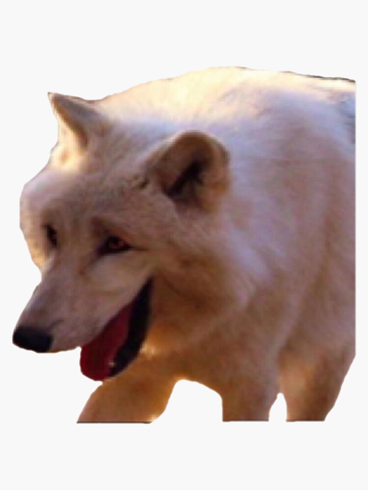 "Laughing Wolf" Sticker by lizzysikora | Redbubble