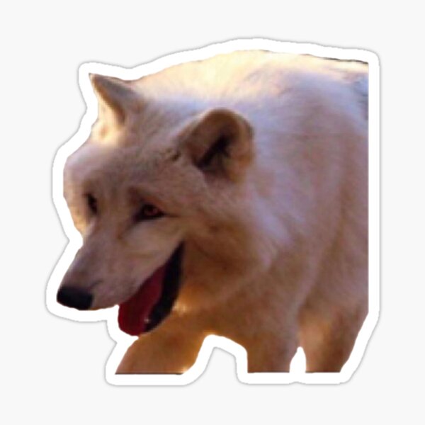"Laughing Wolf" Sticker by lizzysikora | Redbubble