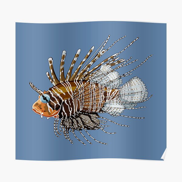 "Lion Fish" Poster for Sale by rlnielsen4 | Redbubble