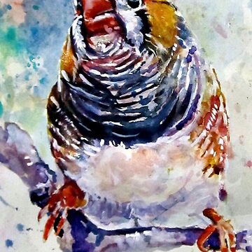 "zebra finch" Poster for Sale by pamfox | Redbubble