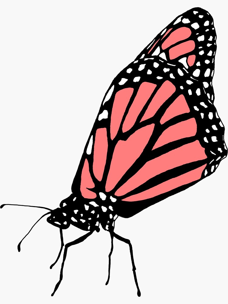 Pegatina «Mariposa monarca (rosa)» de raekar | Redbubble