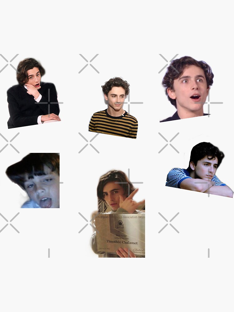 "timothee chalamet funny faces/ moments" Sticker by siaaa | Redbubble