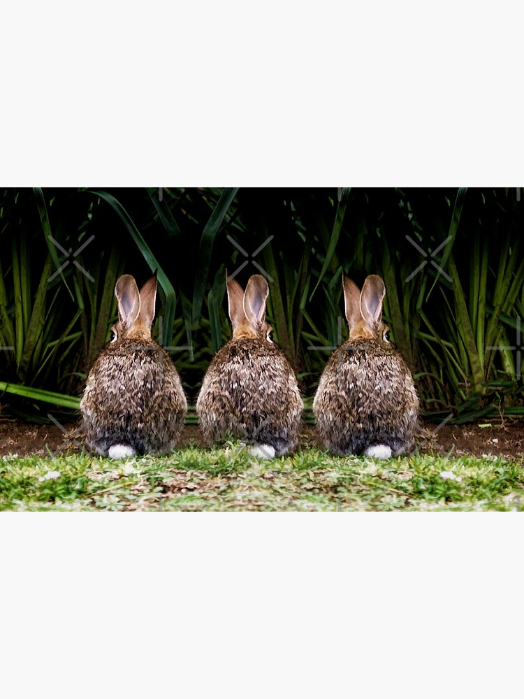 "Bunny Line Up" Sticker by CarolM | Redbubble