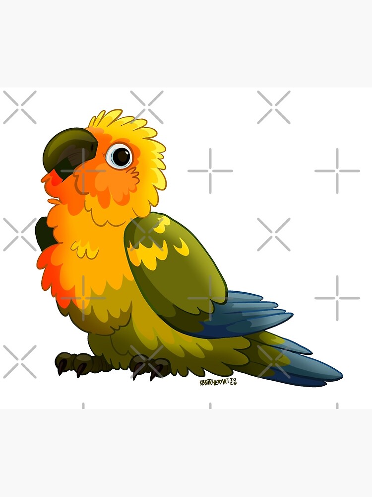 "Sun Conure" Poster by kbbutcherart | Redbubble