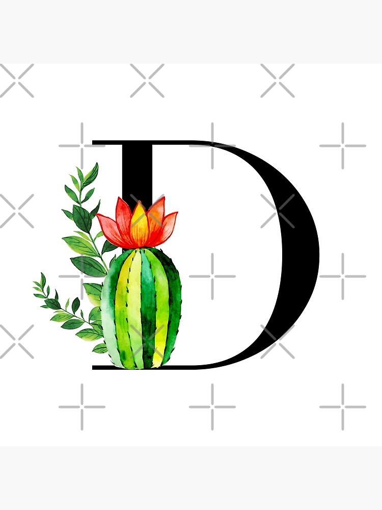 "Letter D Cactus Plant Botanical Alphabet" Photographic Print by ...