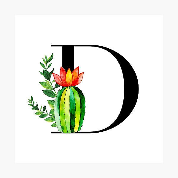 "Letter D Cactus Plant Botanical Alphabet" Photographic Print by ...