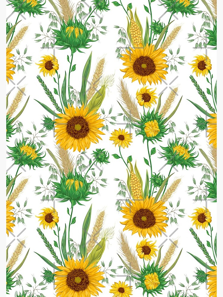 "Seamless pattern with cereals and sunflowers. Barley, wheat, rye, corn ...