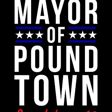 "Mayor of Pound Town, Population: 69" Essential T-Shirt for Sale by ...