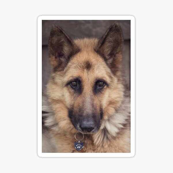 "Heidi" Sticker for Sale by wendyallport | Redbubble