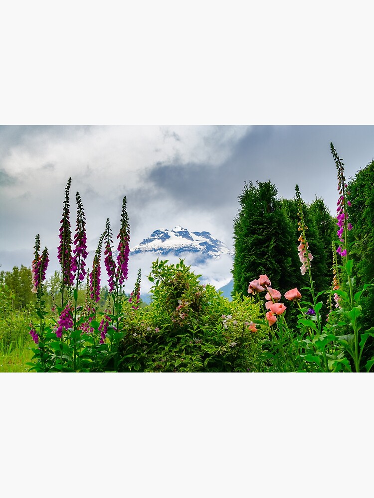 "Begbie Revelstoke BC" Poster for Sale by RevelstokeImage | Redbubble