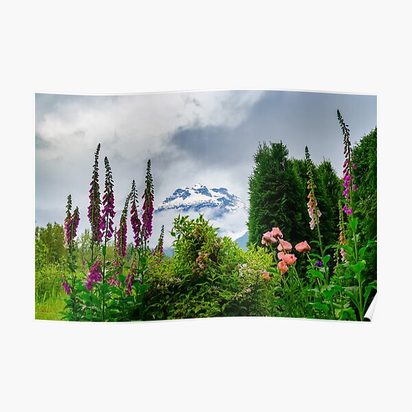 "Begbie Revelstoke BC" Poster for Sale by RevelstokeImage | Redbubble