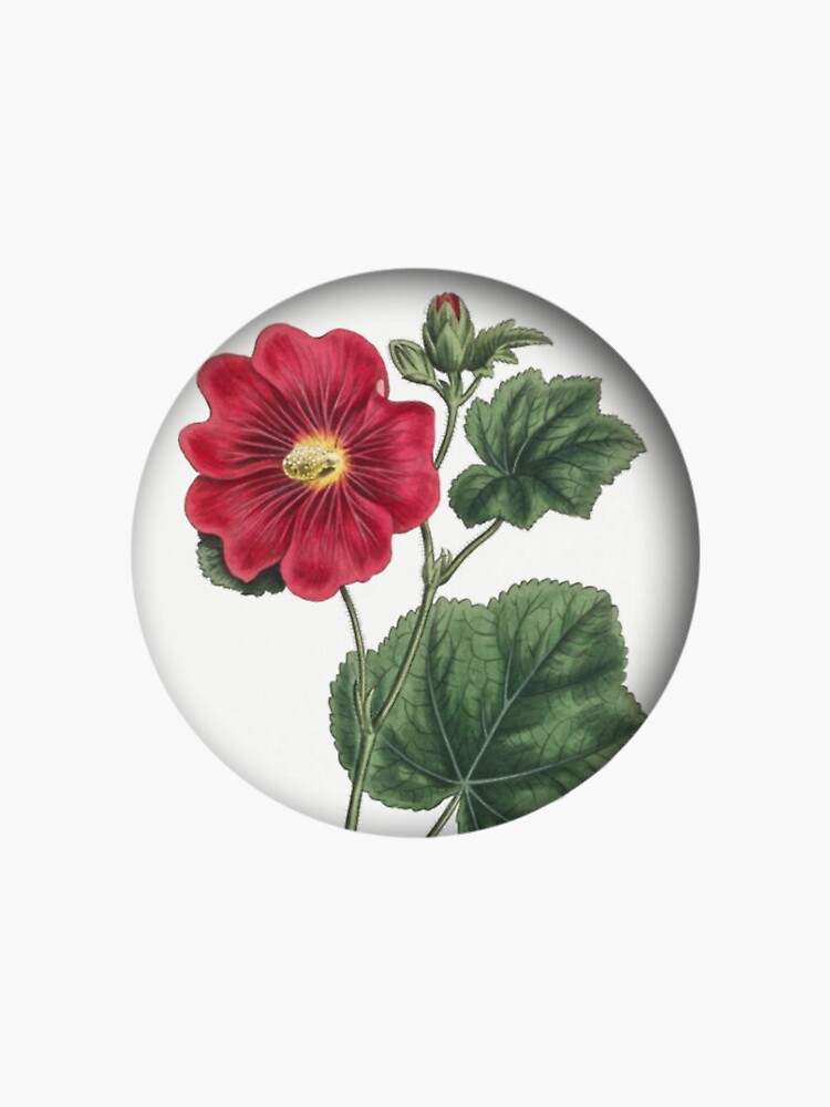 "Pop socket" Sticker for Sale by sayeedahmed | Redbubble