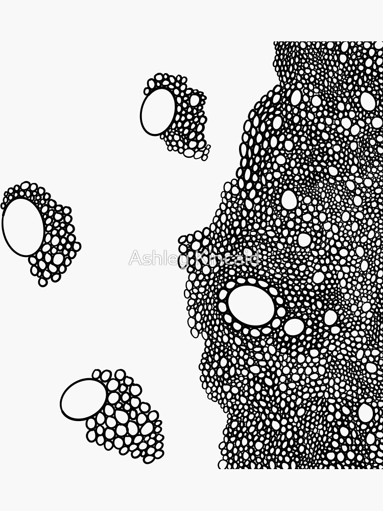 Bubbles Zentangle Patterns