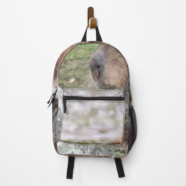 Capybaras Backpacks | Redbubble