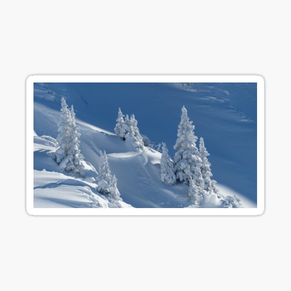 "Frozen Winter Scene" Sticker for Sale by LucieRovna | Redbubble