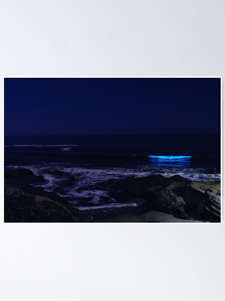 "Phytoplankton - red tide - glowing ocean at night" Poster by ...
