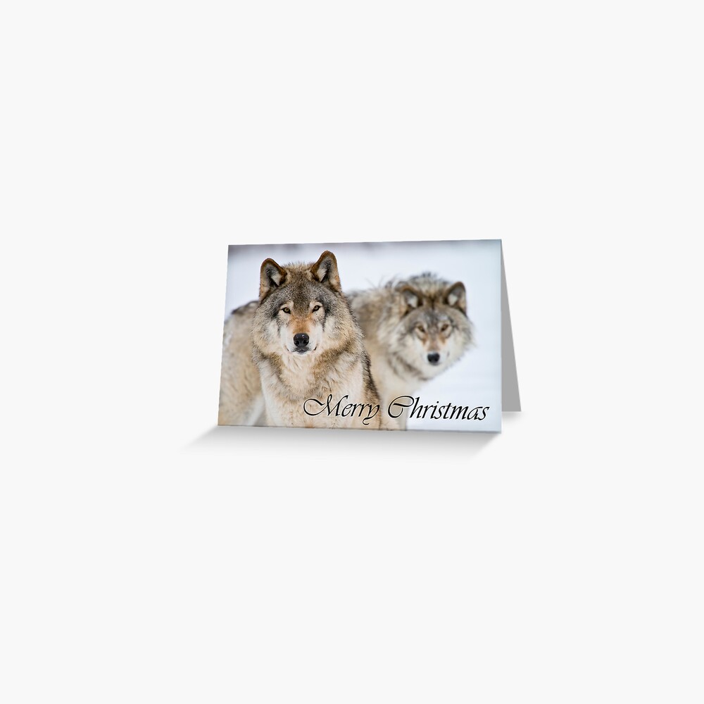 "Timber Wolf Christmas Card 7" Greeting Card for Sale by jaydee1400 ...