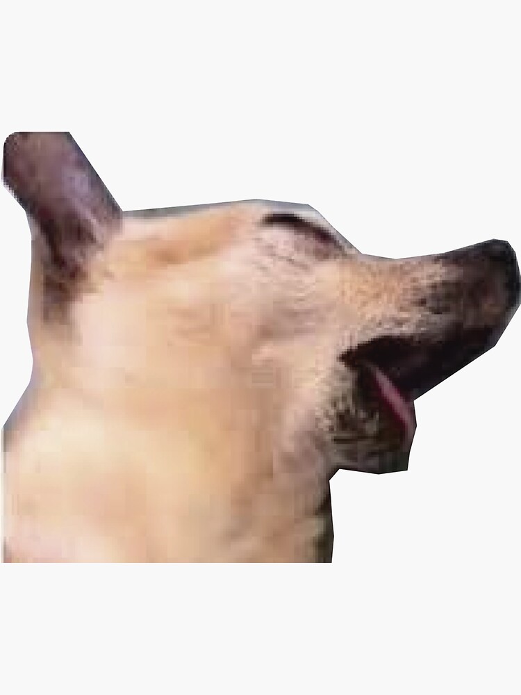 "chihuahua dog sleeping / playing dead meme" Sticker by m-1143 | Redbubble